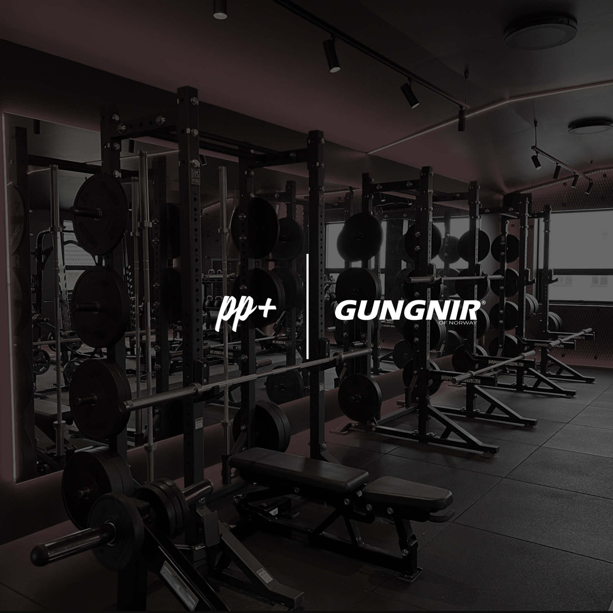 One of the World's First Collar-Free Gyms – Gungnir of Norway